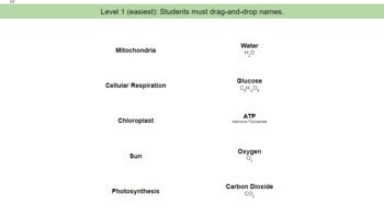 Cellular Respiration & Photosynthesis - Google Slides Drag-and-drop ...