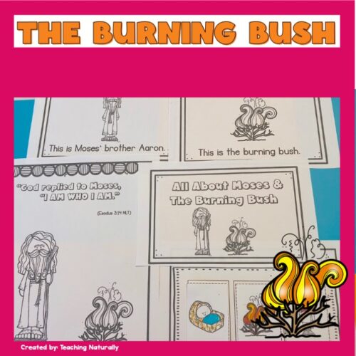 Moses and the Burning Bush Bible Lesson for Preschool and Kindergarten ...