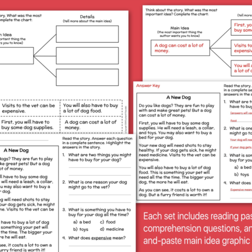 Main Idea and Supporting Details Passages and Activities 2nd Grade ...