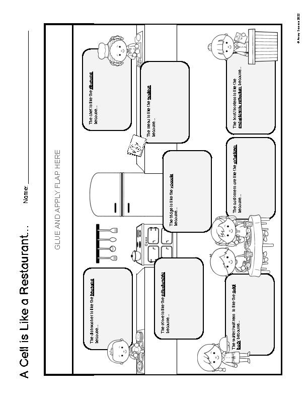 Cell Analogy Template Activity - Classful