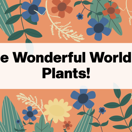 The Wonderful World of Plants! - Lesson Slides on Plants and ...
