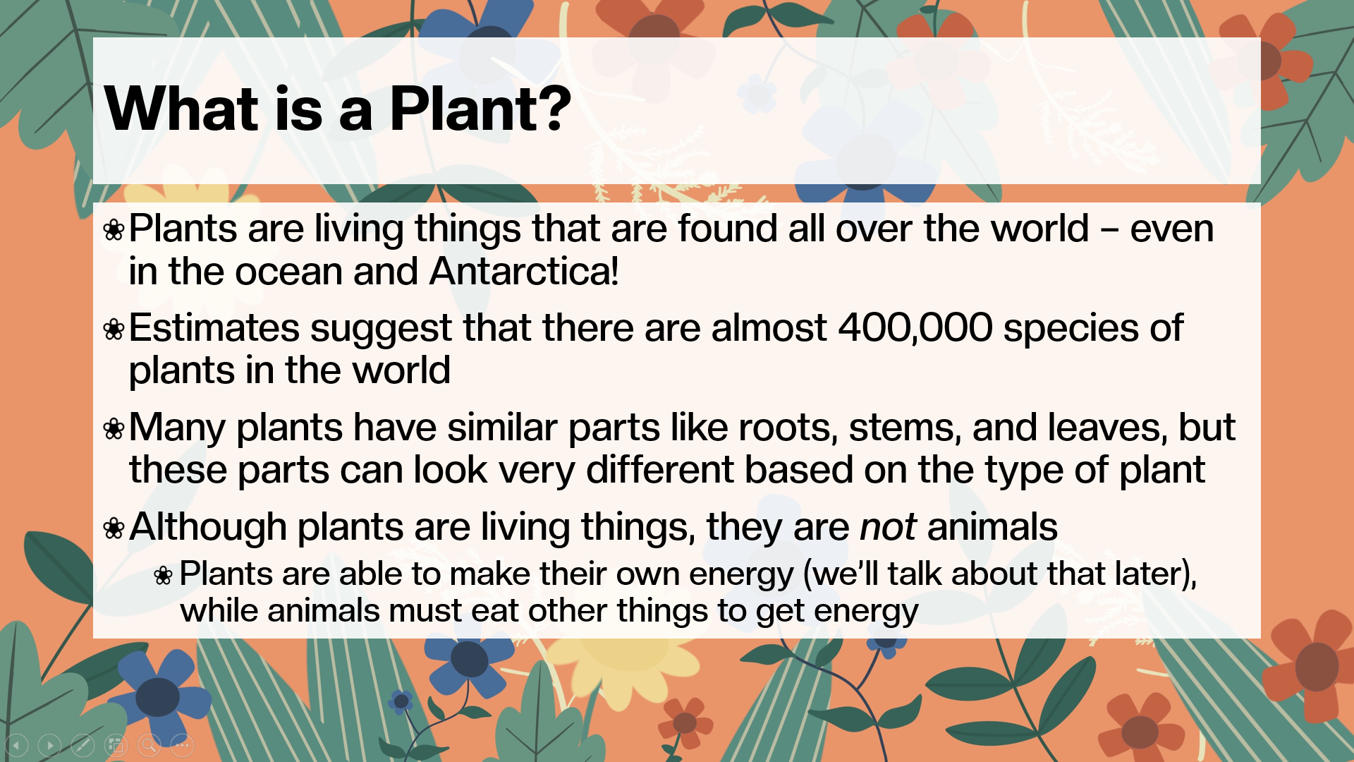 The Wonderful World of Plants! - Lesson Slides on Plants and ...