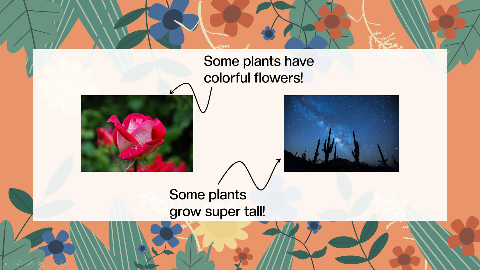 The Wonderful World of Plants! - Lesson Slides on Plants and ...