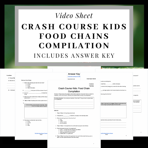 Crash Course Kids Food Chains- Compilation Video Sheet with ANSWER KEY ...