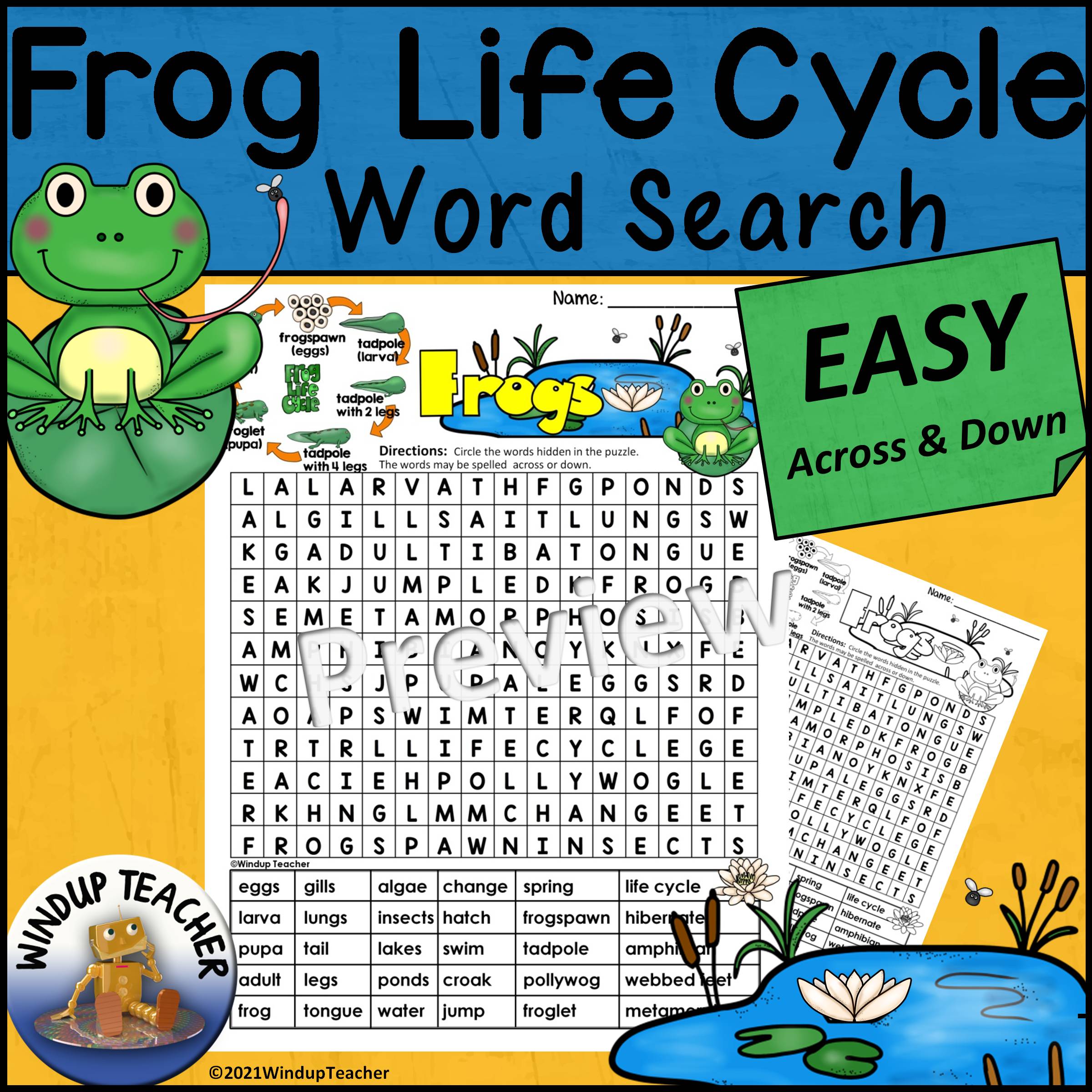 Frog Life Cycle Word Search EASY Puzzle - Classful