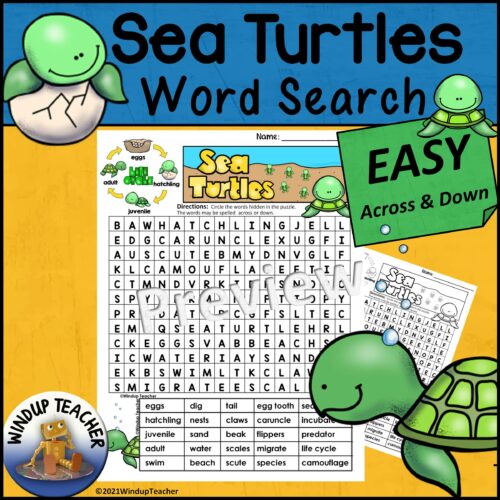 Sea Turtle Life Cycle Word Search EASY Puzzle - Classful