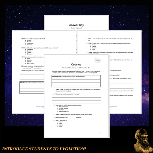 Cosmos Episode 2 Video Sheet- Some of the Things That Molecules Do ...