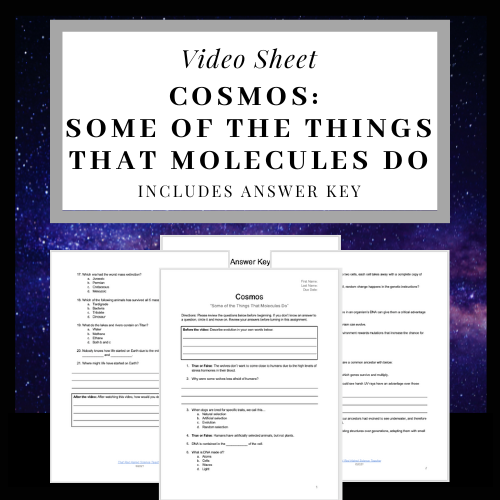Cosmos Episode 2 Video Sheet- Some of the Things That Molecules Do ...