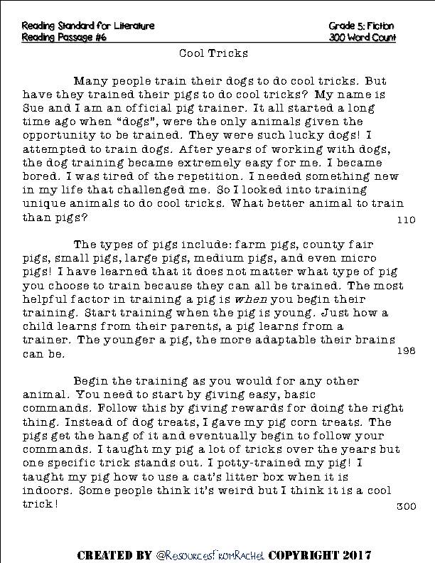 Reading Comprehension Assessment 5th grade volume 2 - Classful