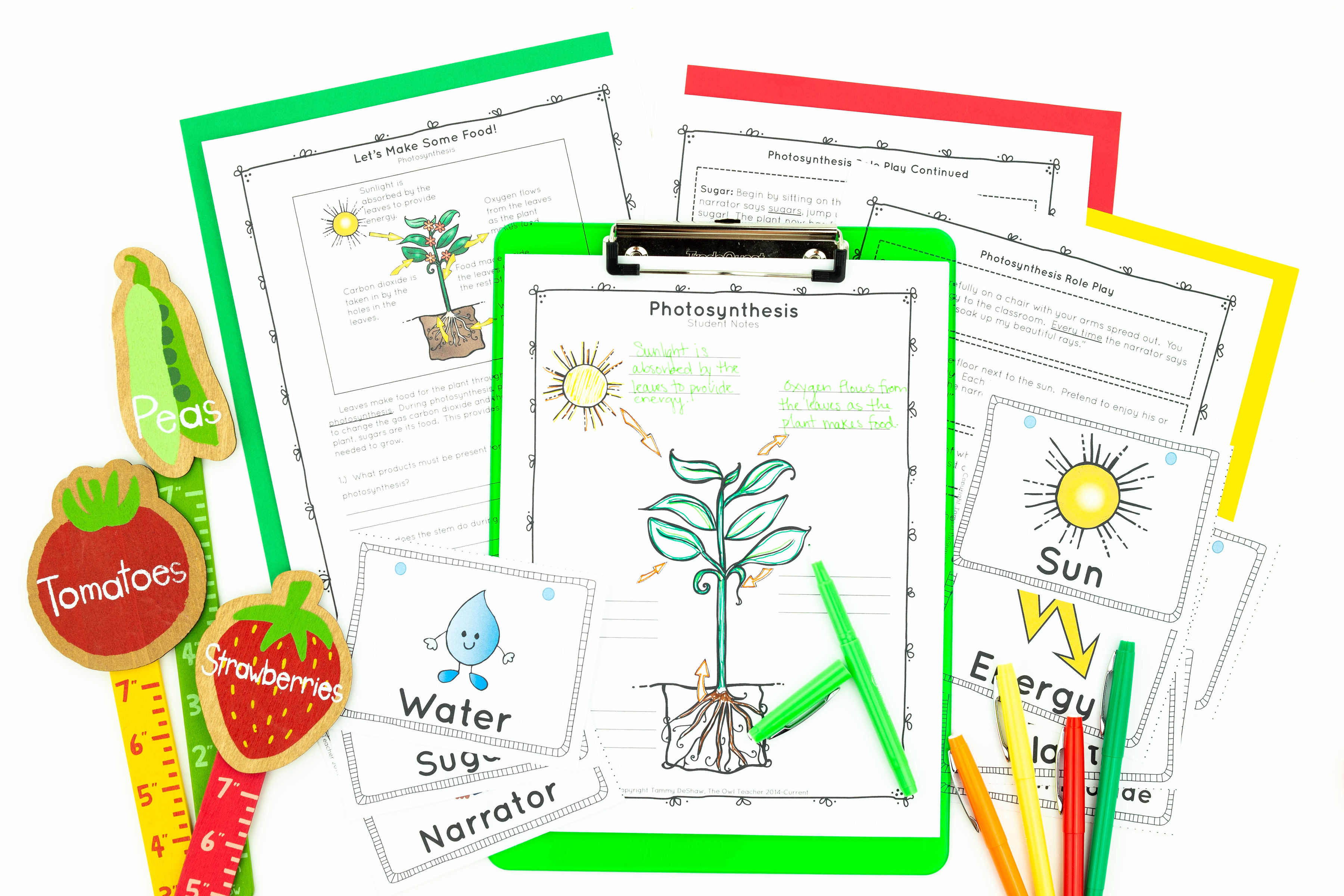 Parts of a Plant, Plant Life Cycle, Plant Needs, Photosynthesis, and ...