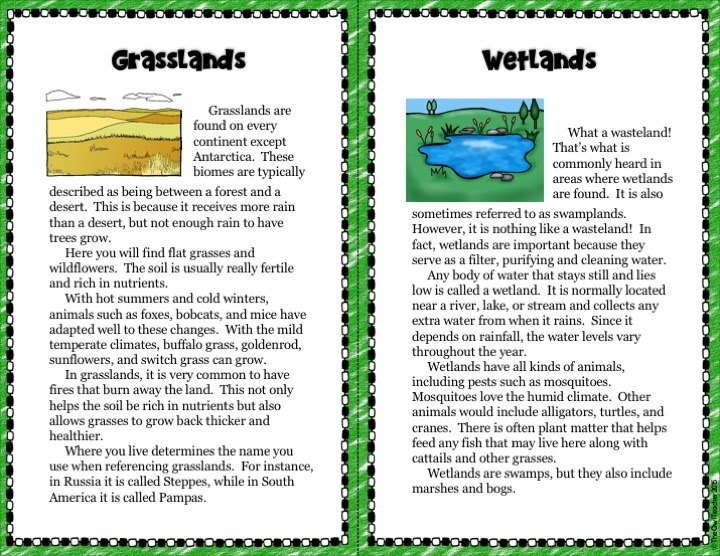 Ecosystems Scavenger Hunt Printable &amp; Digital - Classful