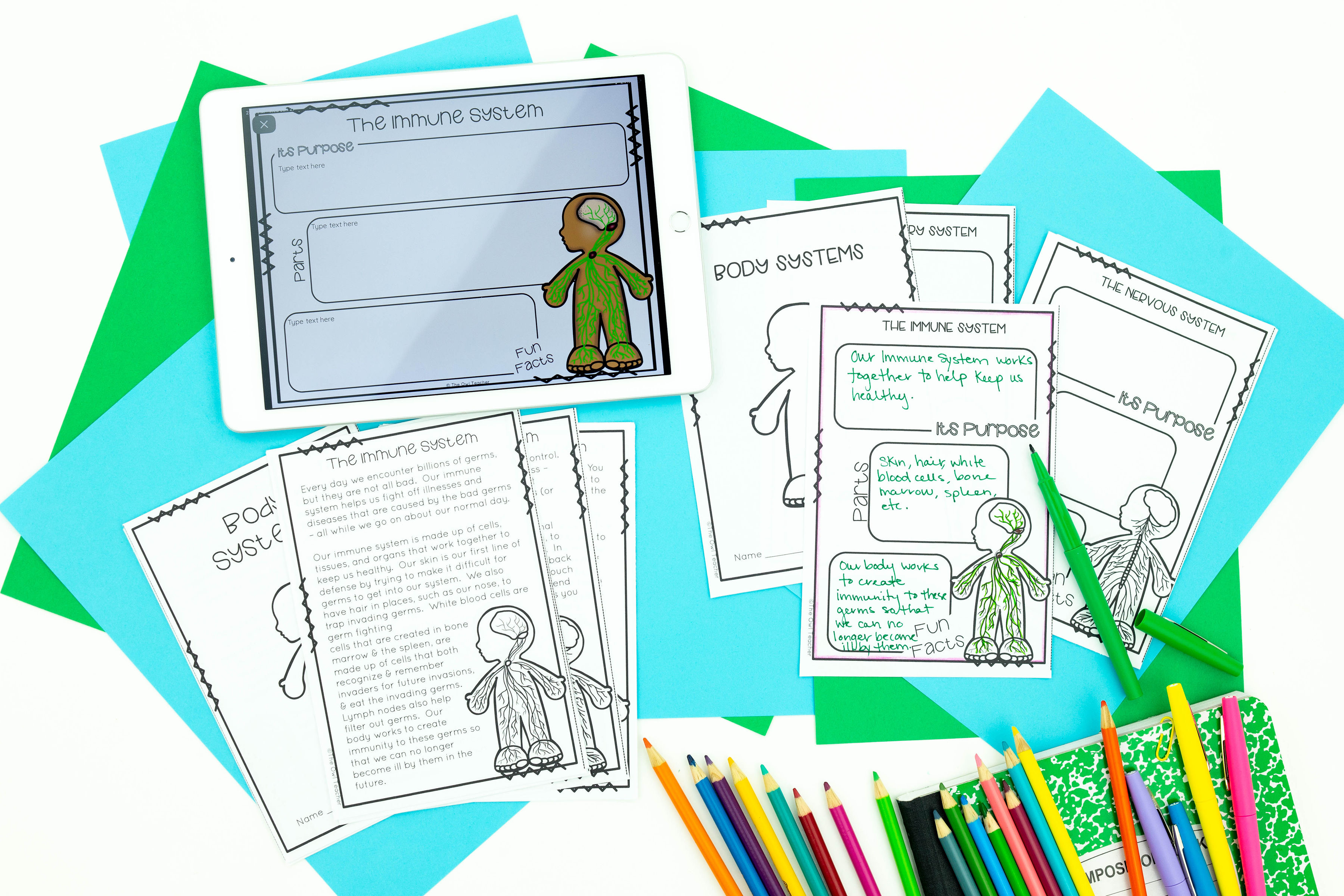 Human Body Systems Activity | Foldable Booklet Printable & Digital ...