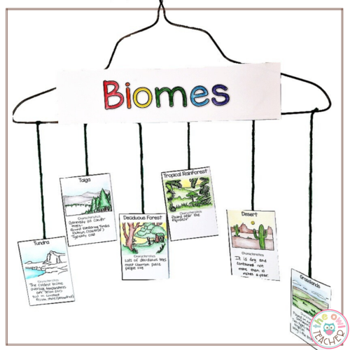 Ecosystems and Biomes Project Ecosystems Mobile & Activity - Classful