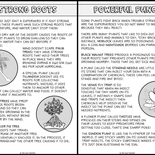 Plant Adaptations Superheroes Project - Classful