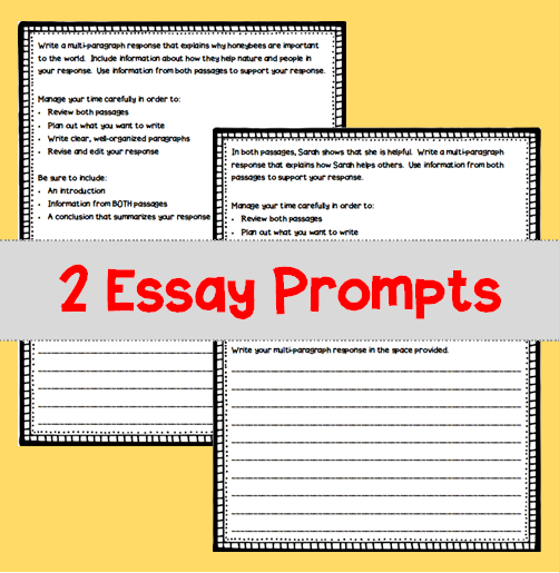 3rd Grade ELA Practice State Test #1 - Classful