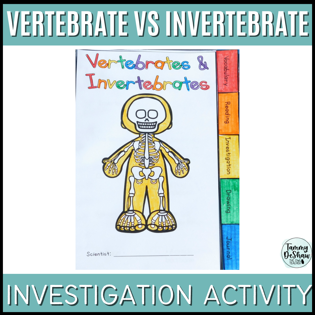Vertebrate & Invertebrate | Animal Classification | Booklet Printable ...