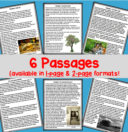 3rd Grade ELA Practice State Test #2 - Classful