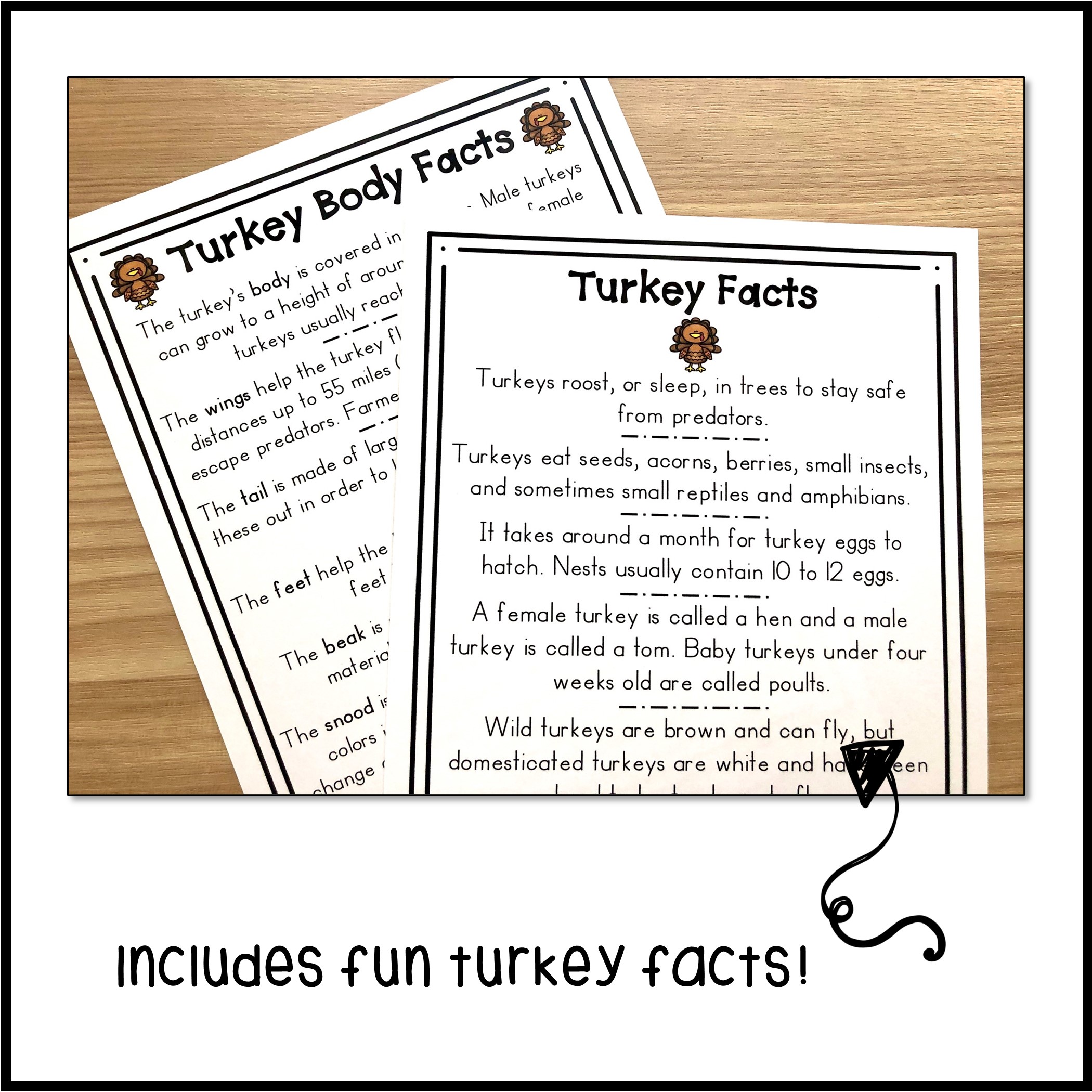 Turkey Labeling Activity - Classful