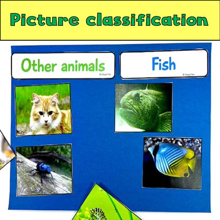 Fish - Classful