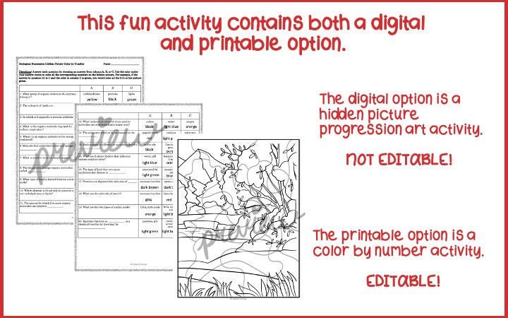Ecological Succession Hidden Picture Activities - Classful