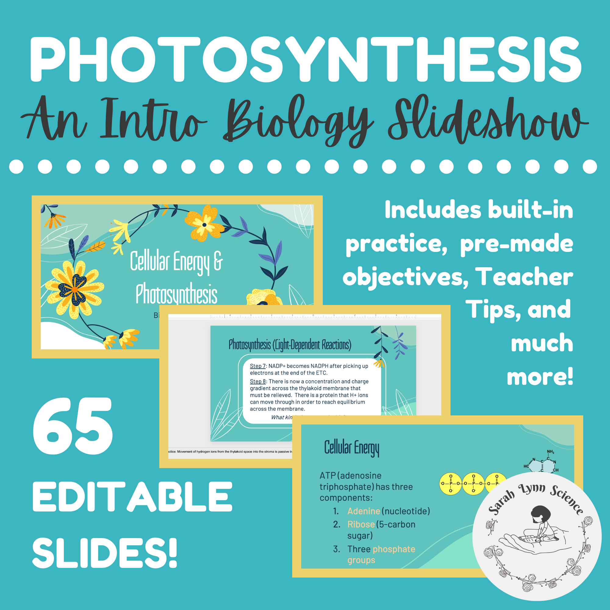 Photosynthesis Slideshow - Classful