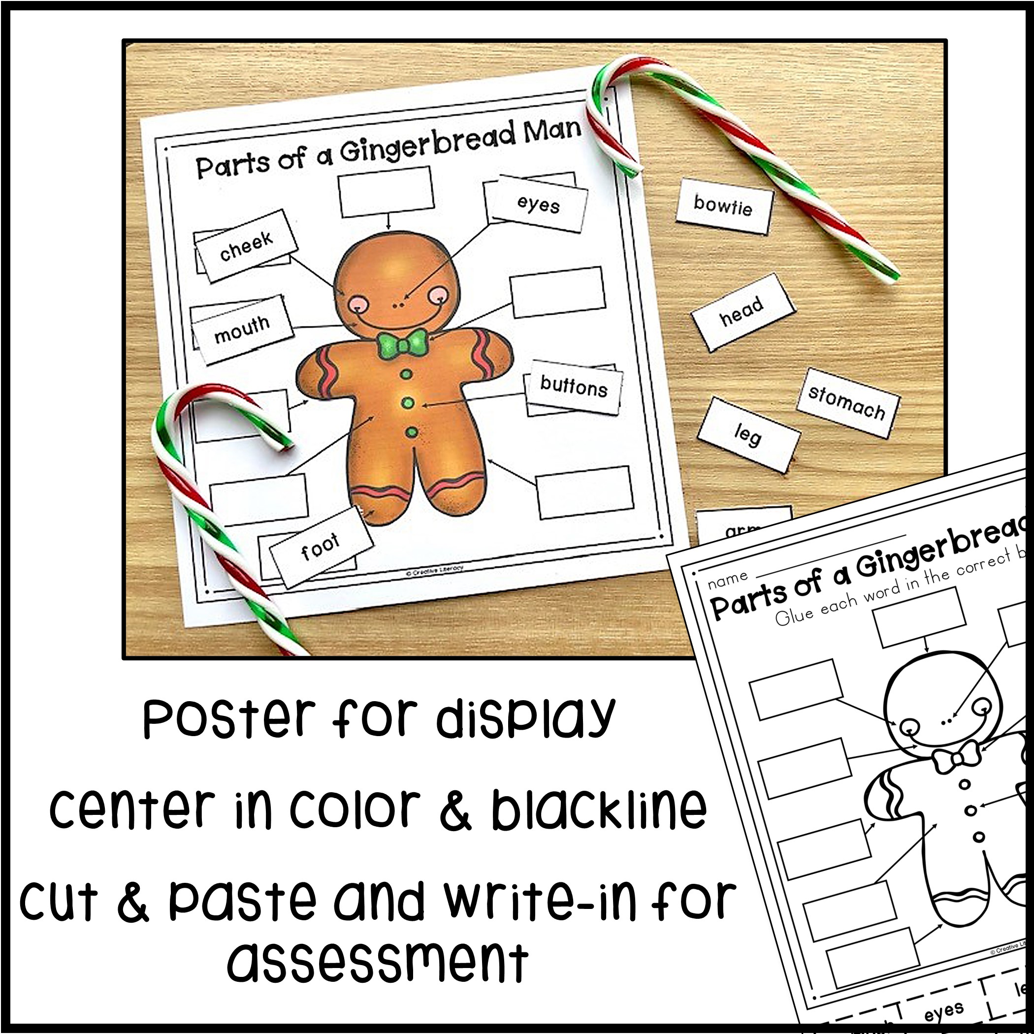 Gingerbread Labeling Activity - Classful