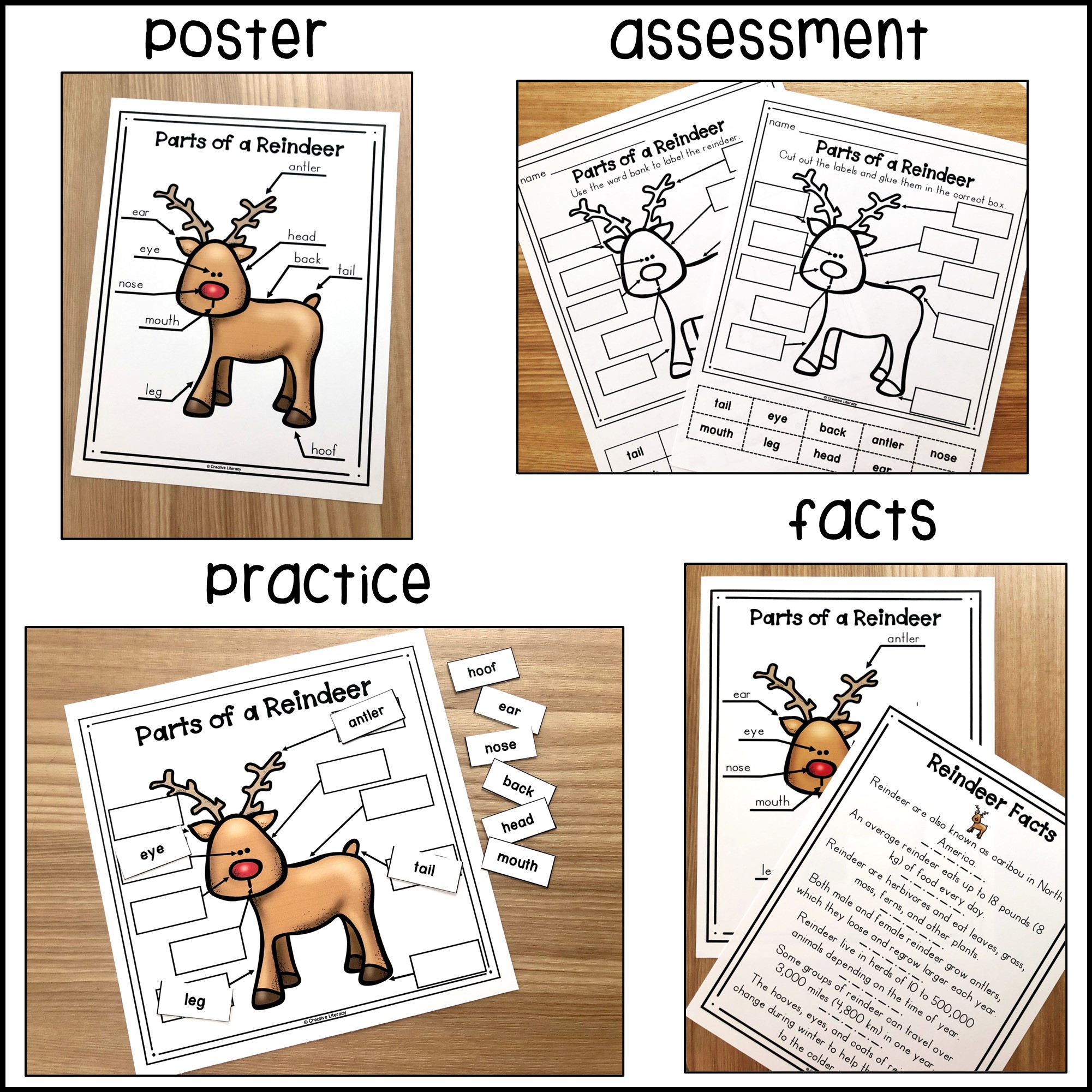 Reindeer Labeling Activity - Classful