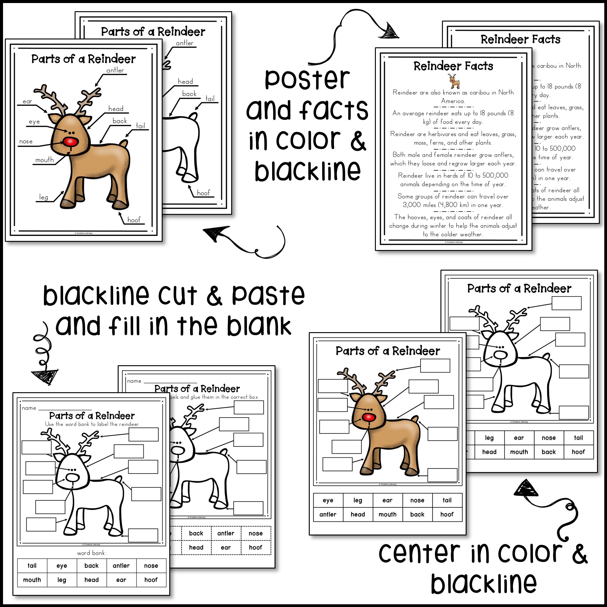 Reindeer Labeling Activity - Classful