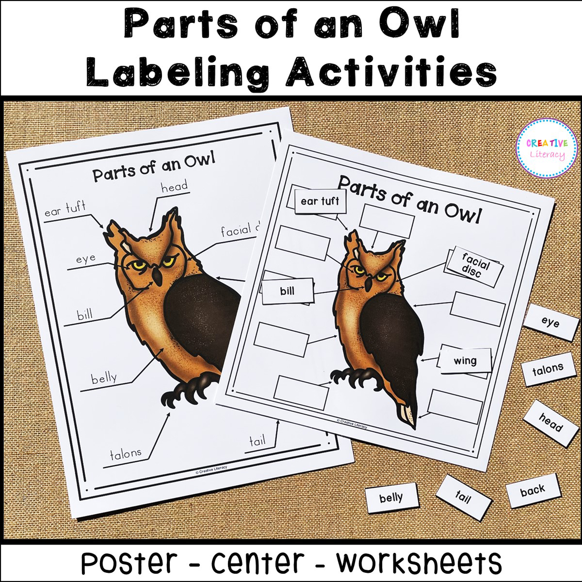 Owl Labeling Activity - Classful
