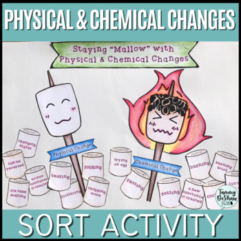 Physical and Chemical Changes Sort Activity Worksheets and Craftivity ...