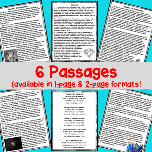 6th Grade ELA Practice State Test #3 - Classful