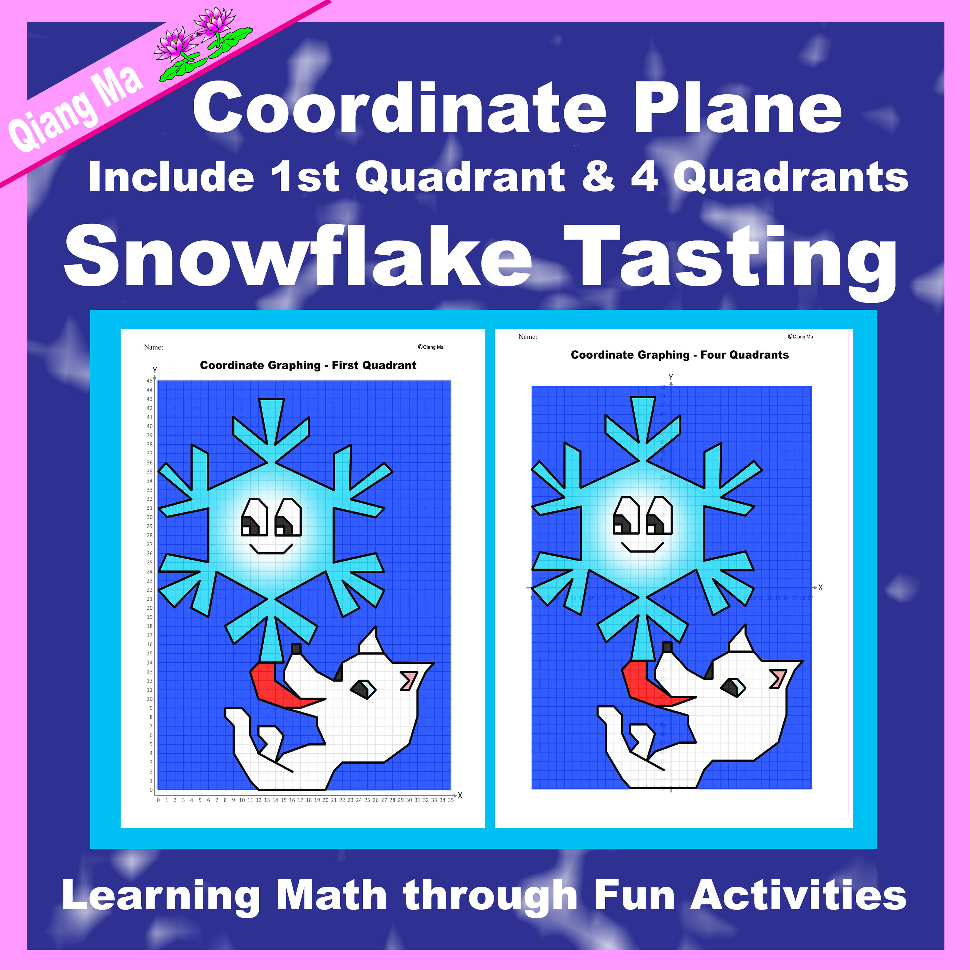 Winter Coordinate Plane Graphing Picture- Snowflake Tasting - Classful