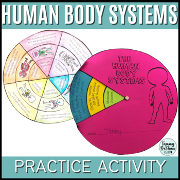 The Human Body Systems Practice Activity Wheel - Classful