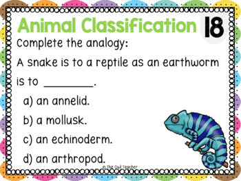 Animal Classification Boom Cards or Vertebrate and Invertebrate Boom ...