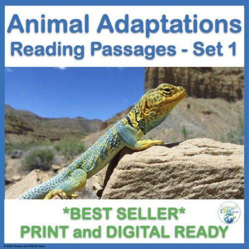 Animal Adaptations Informational Reading Passages - Classful