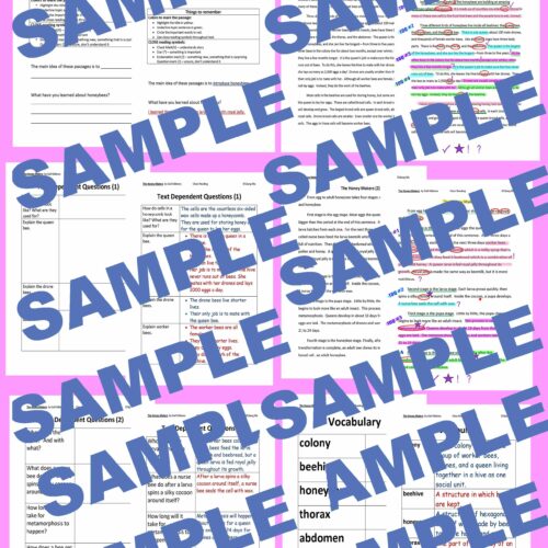 Close Reading- The Honey Makers by Gail Gibbons - Classful