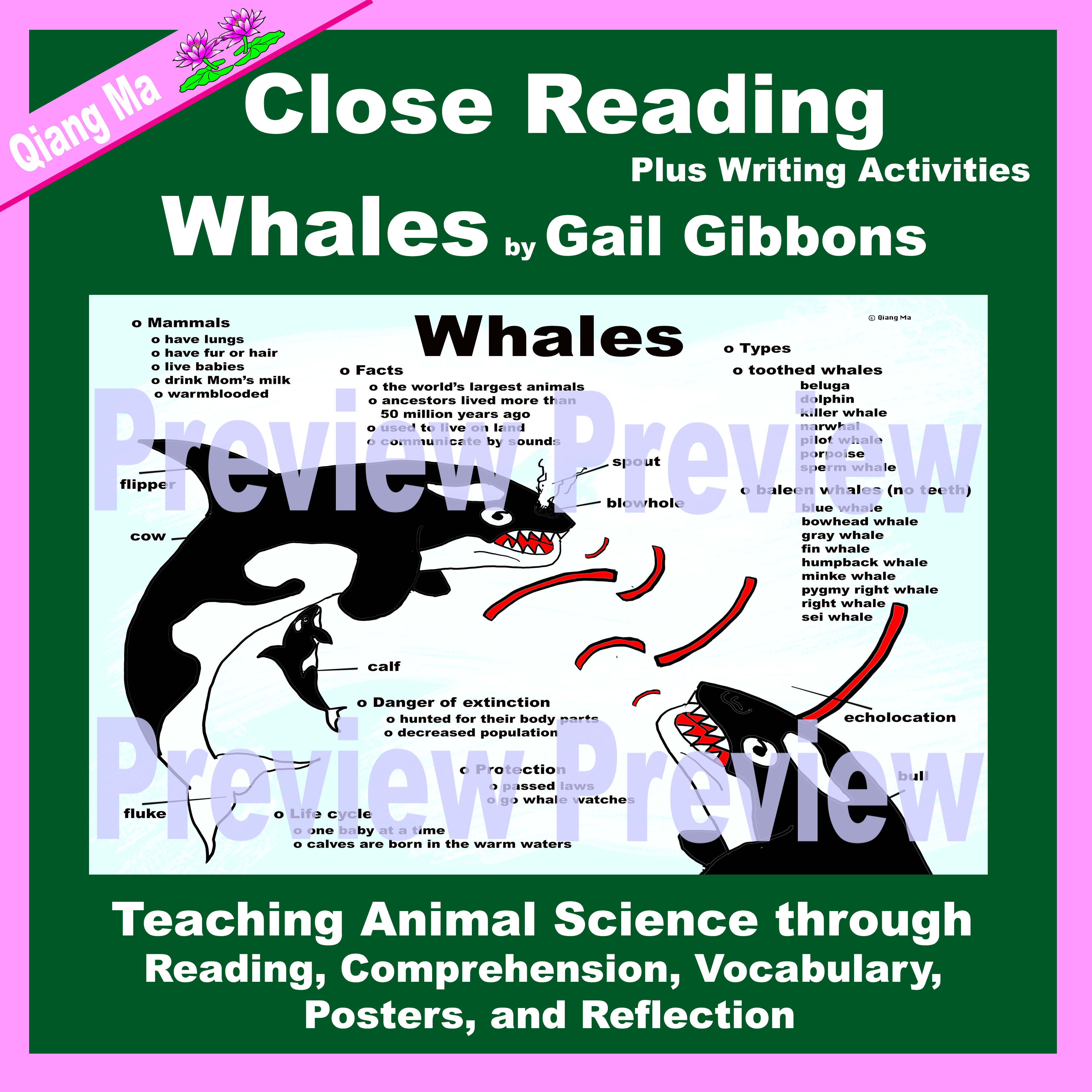 Close Reading- Whales by Gail Gibbons - Classful
