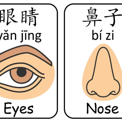 Mandarin Chinese First Words Flashcards - Body Parts flash cards with ...