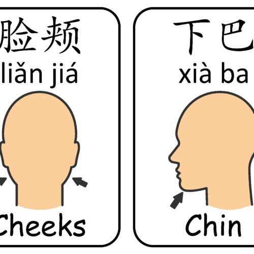 Mandarin Chinese First Words Flashcards - Body Parts flash cards with ...