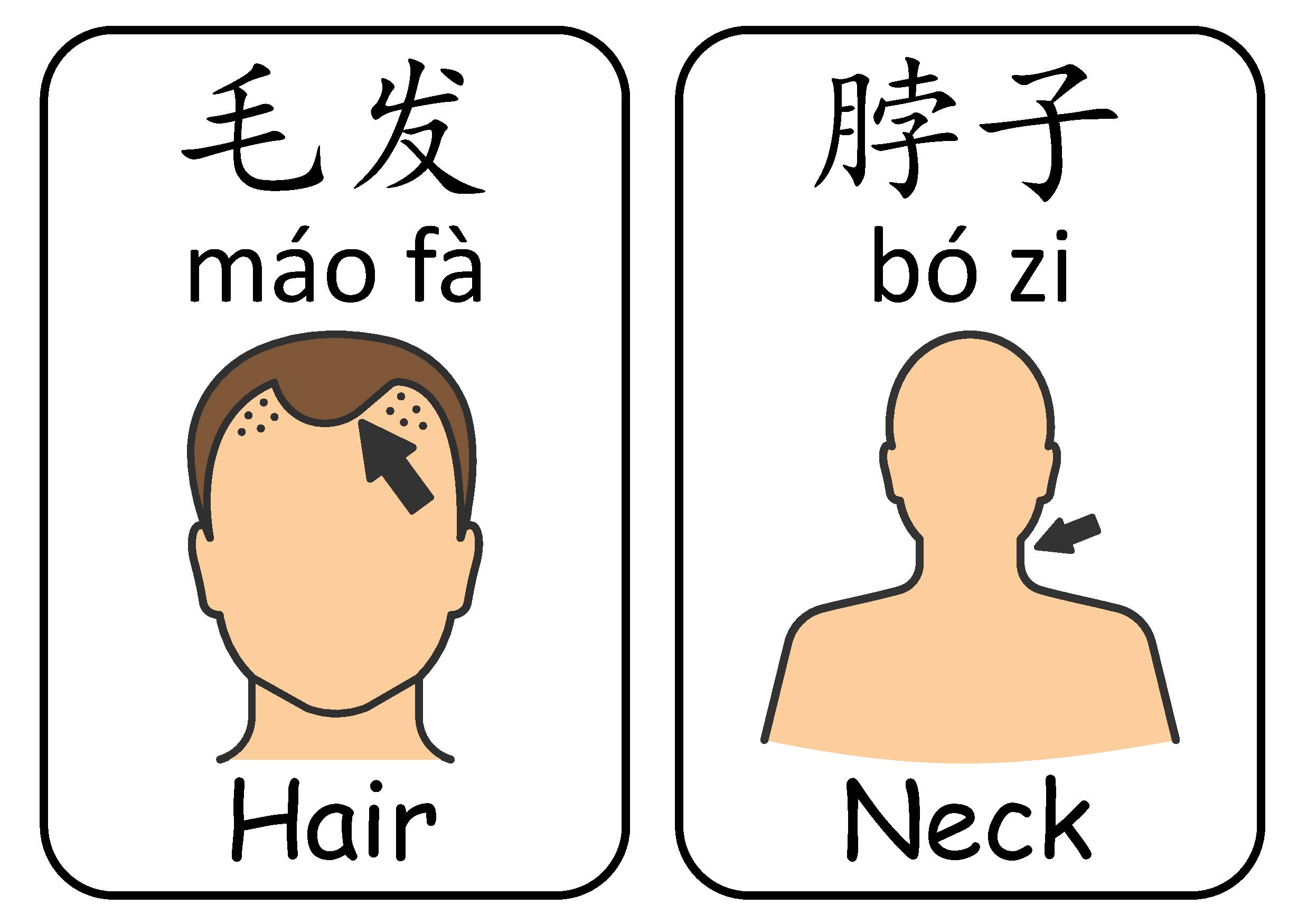 Mandarin Chinese First Words Flashcards - Body Parts flash cards with ...