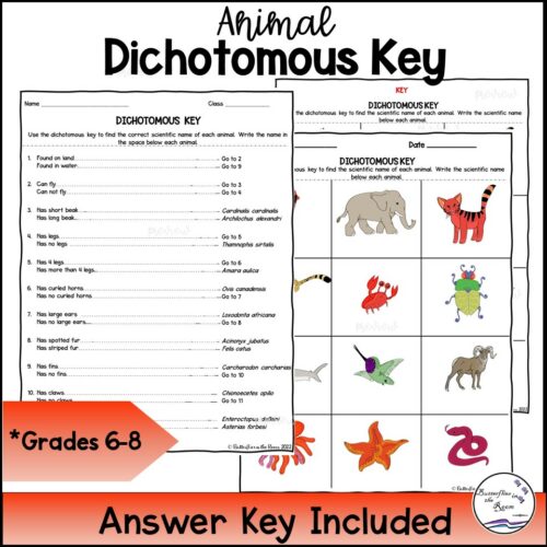Animal Dichotomous Key - Classful