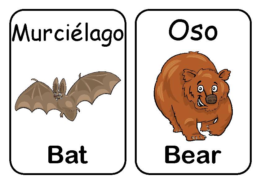 ANIMALS - 101 Spanish Flash Cards - Vocabulary Study flashcards with ...