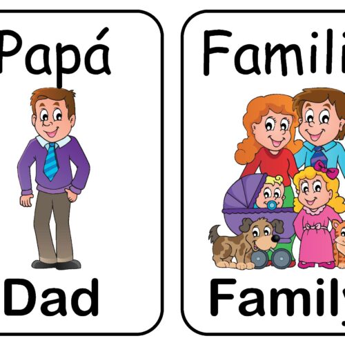 FAMILY - Spanish Flash Cards - Vocabulary Study flashcards with English ...