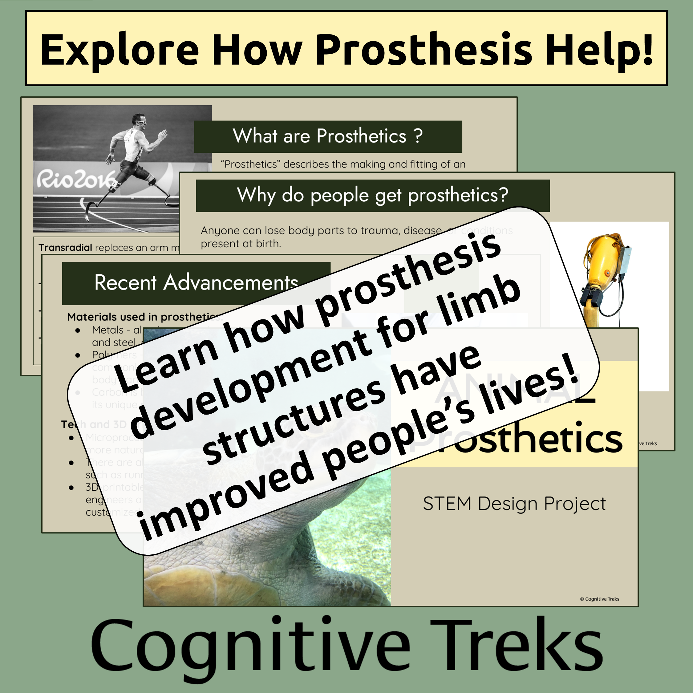 STEM Ecology Project | Design An Animal Prosthetic | Science ...