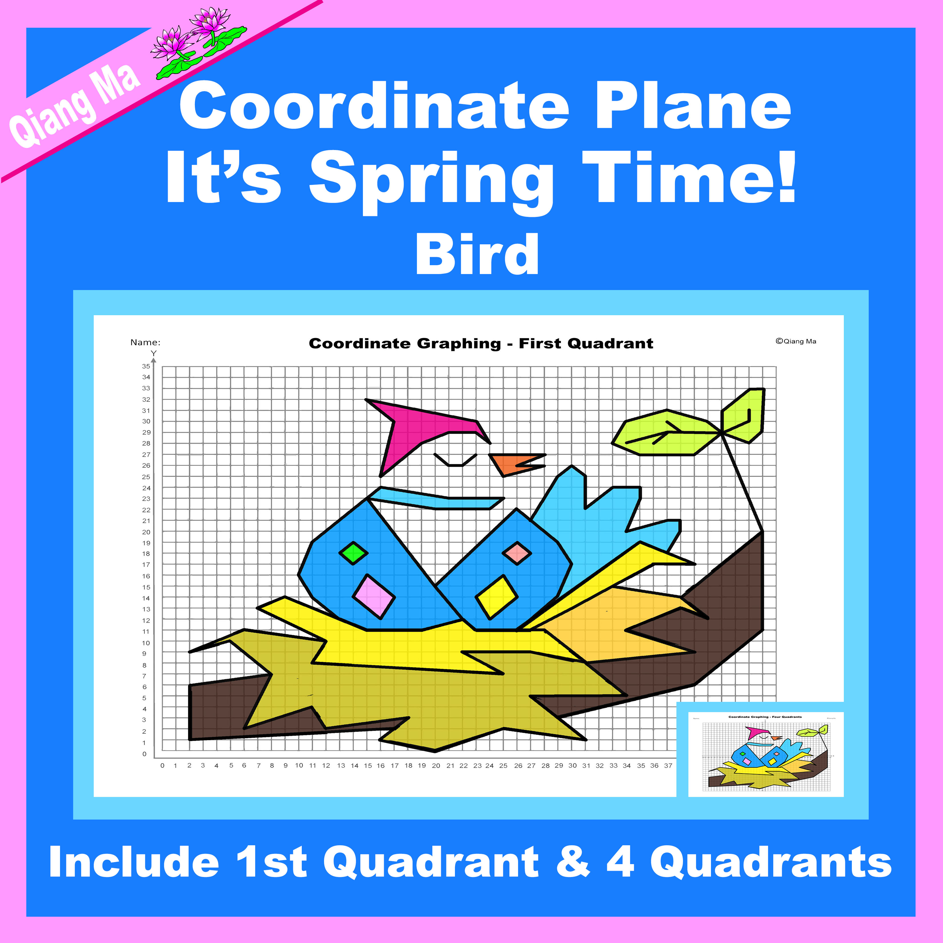 Spring Coordinate Plane Graphing Picture- Bird - Classful