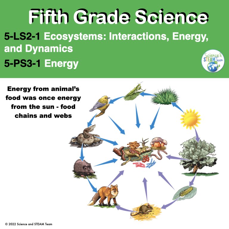 Fifth Grade Life Science NGSS Aligned Unit About the Flow of Energy ...