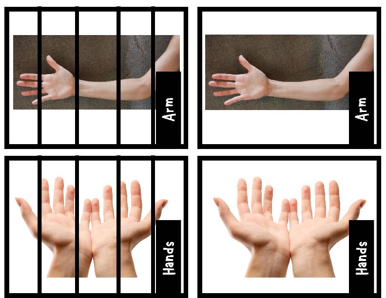 Special Education Task Box Adapted Science Life Skills Activity 'My ...