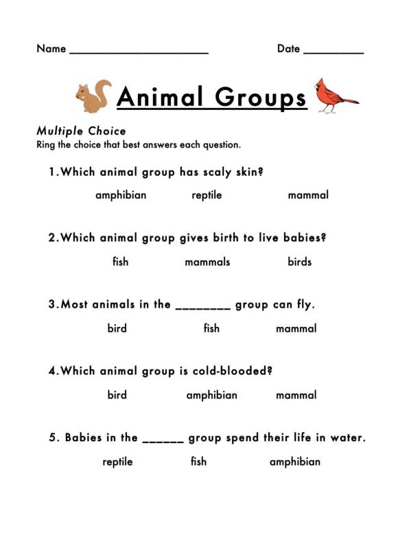 ANIMAL GROUPS ASSESSMENT WITH ANSWERS - Classful