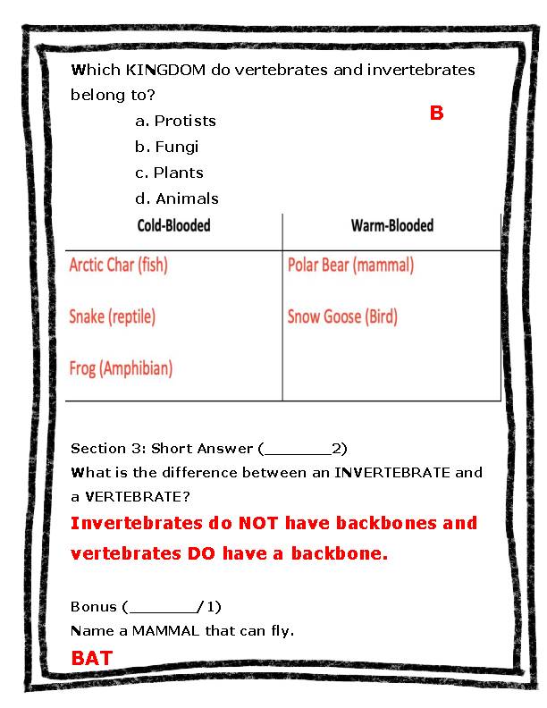 VERTEBRATES UNIT- QUIZ WITH ANSWERS - Classful