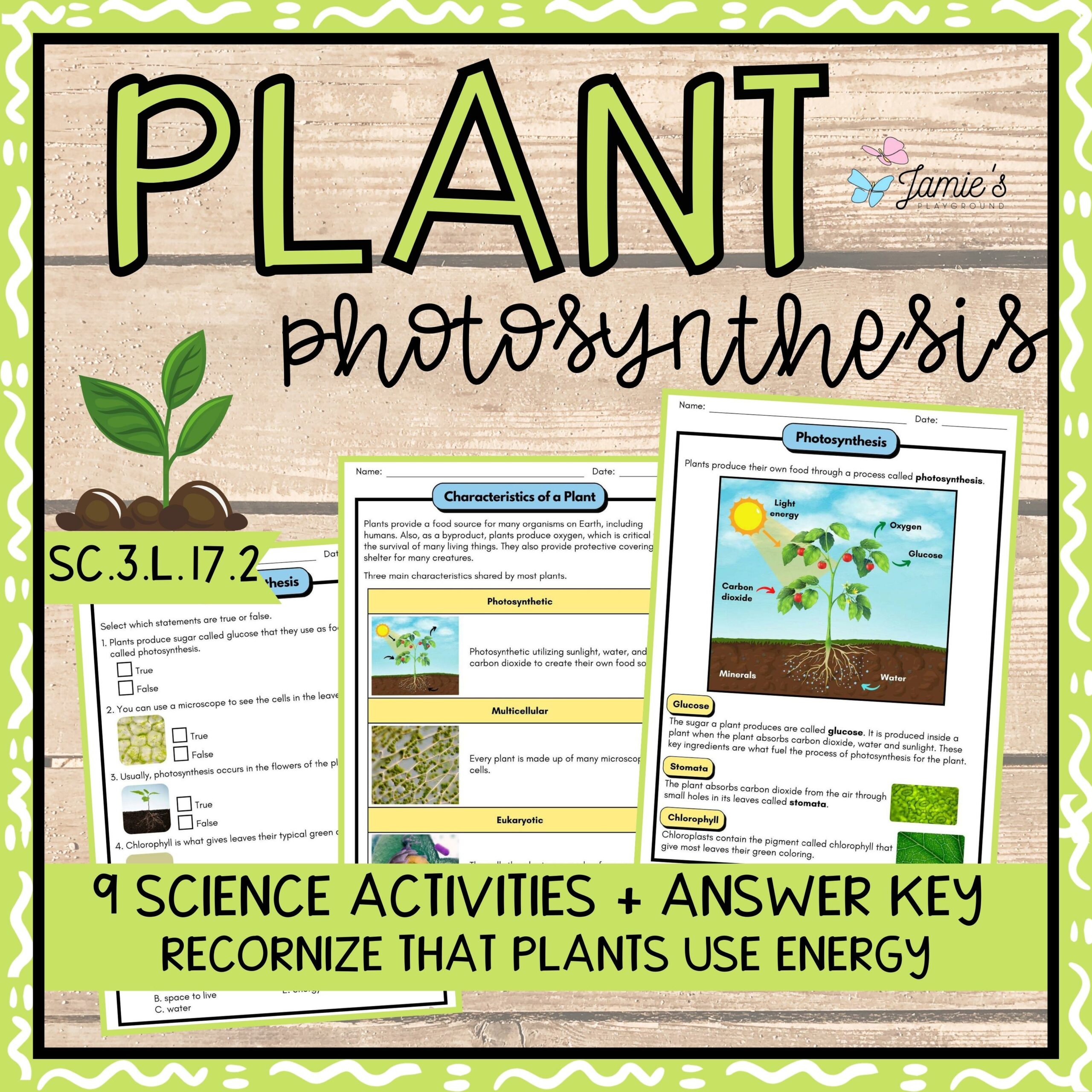 FREE - What's the Matter- Physical Science Activity - Classful